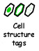Subcellular tag screen | Cytoskeletal dynamics | Cellulose synthase ...